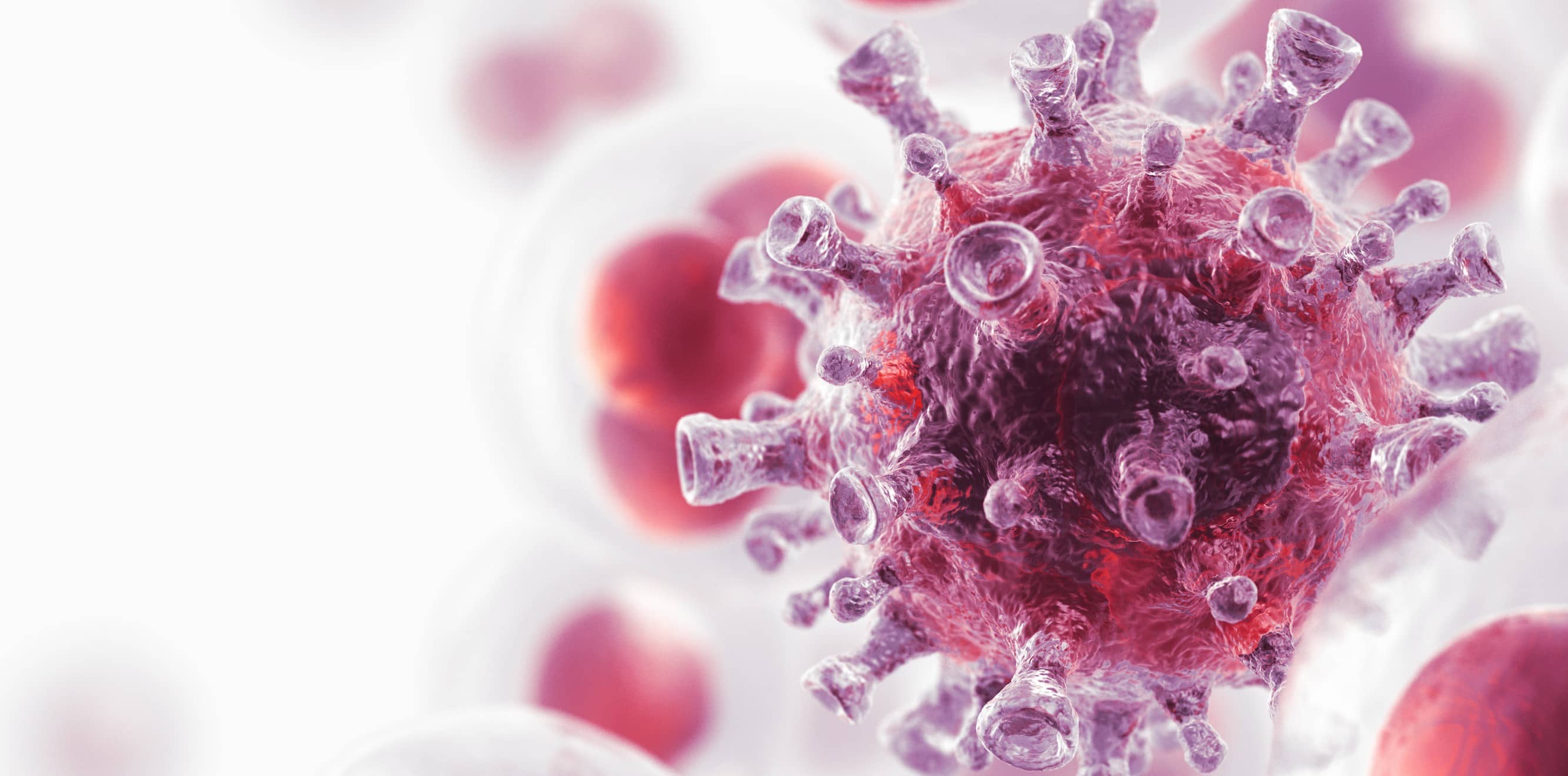 BiosPacific: Antibody Supplier & Manufacturer